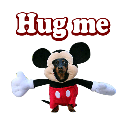 Sausage Dog- Dachshund Animated by Hung Hoang The