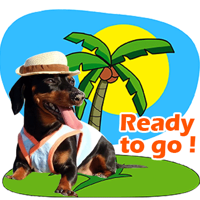 Sausage Dog- Dachshund Animated by Hung Hoang The